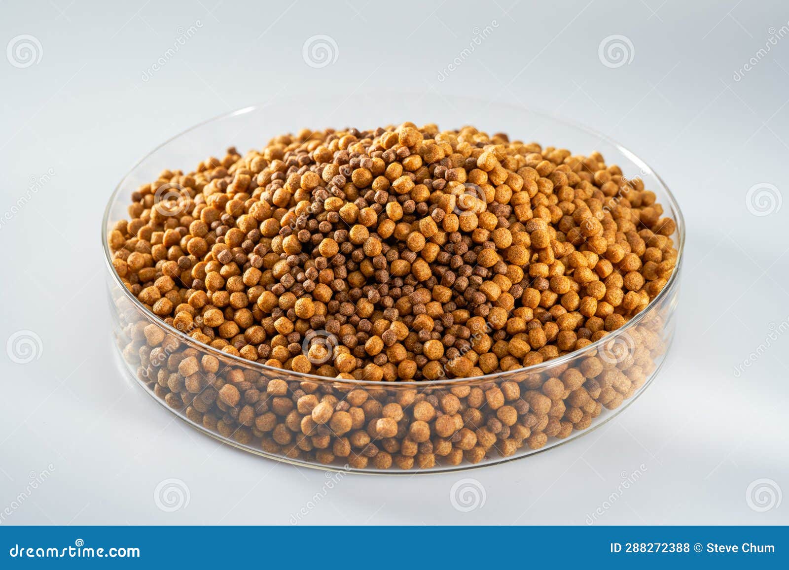 Closeup of a Pile of Fresh Fish Feed Pellets Stock Photo - Image of ...