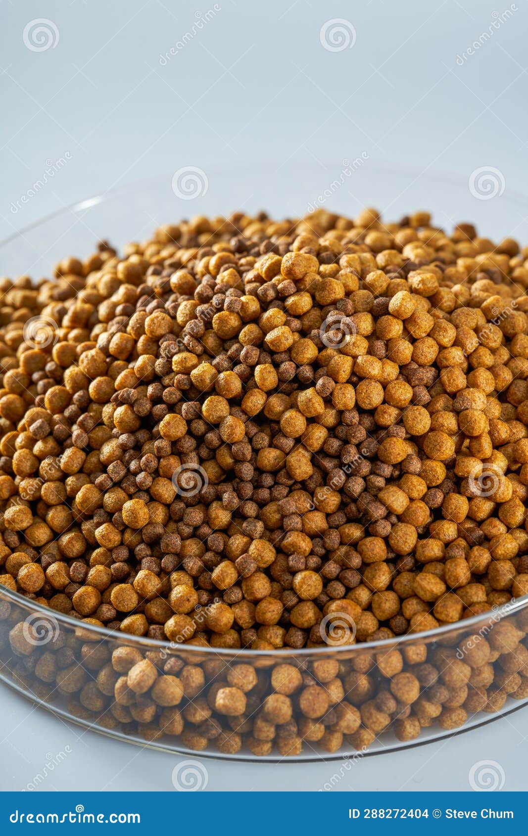Closeup of a Pile of Fresh Fish Feed Pellets Stock Photo - Image of ...