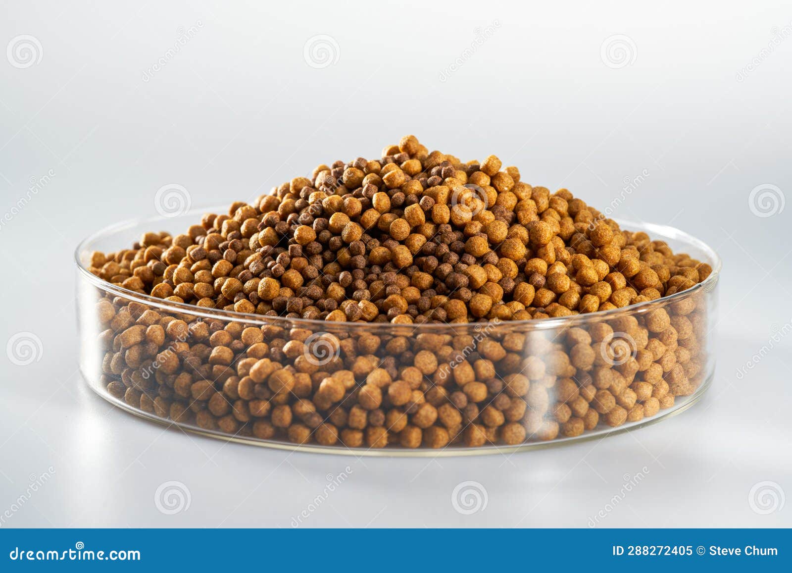 Closeup of a Pile of Fresh Fish Feed Pellets Stock Image - Image of ...