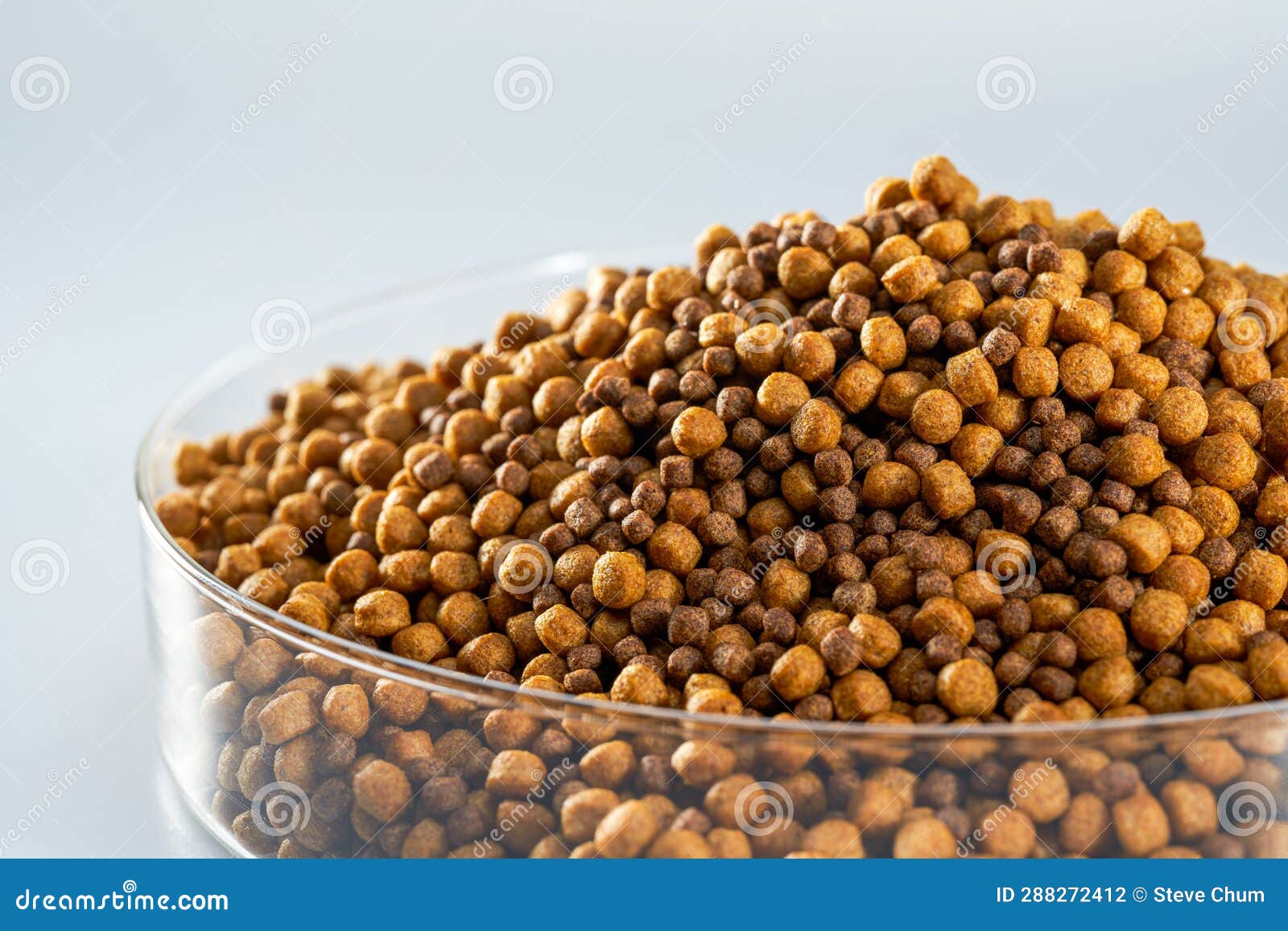 Closeup of a Pile of Fresh Fish Feed Pellets Stock Photo - Image of ...