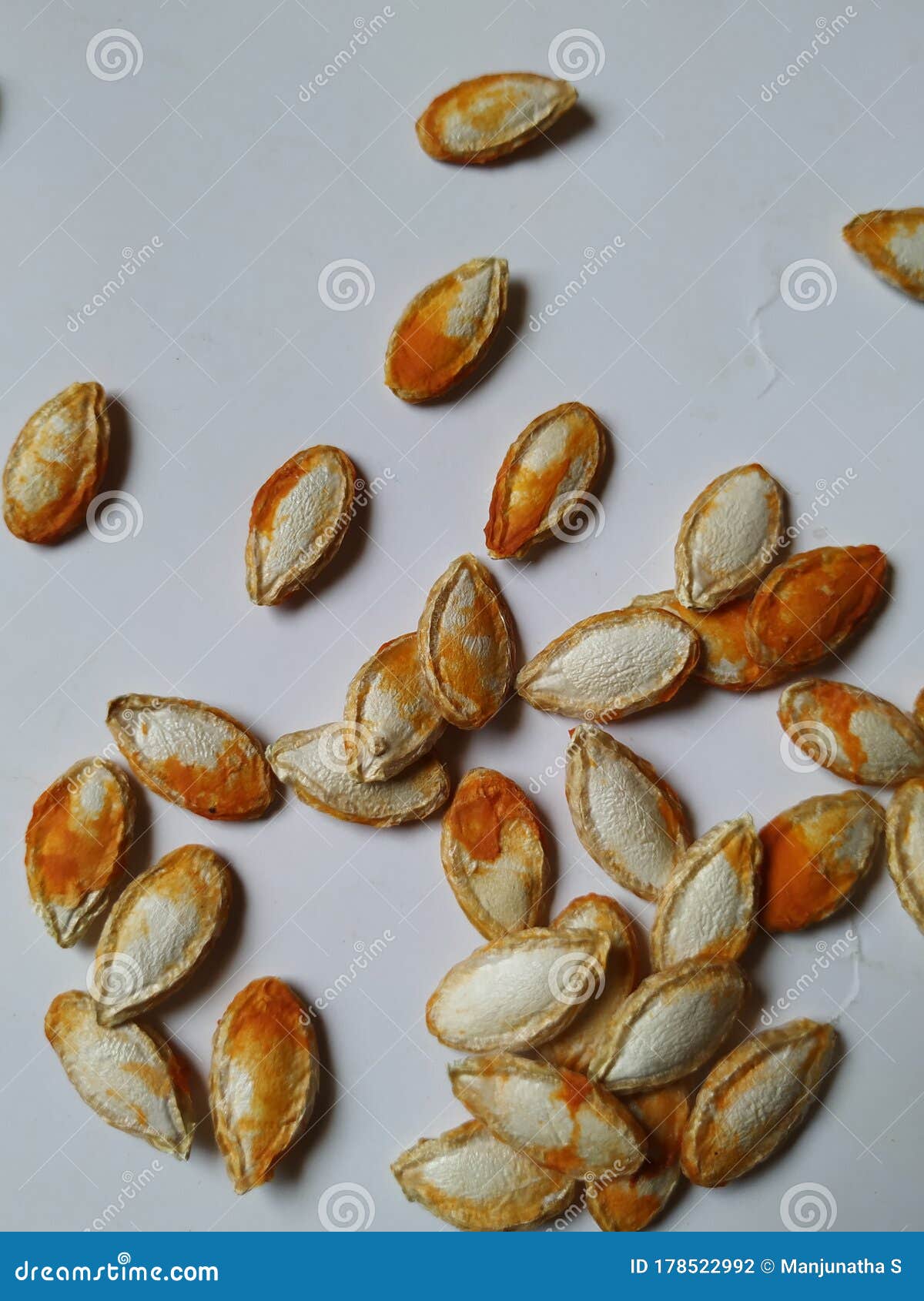Pile and Heap of Dry Pumpkin Seeds Isolated on White Background ...