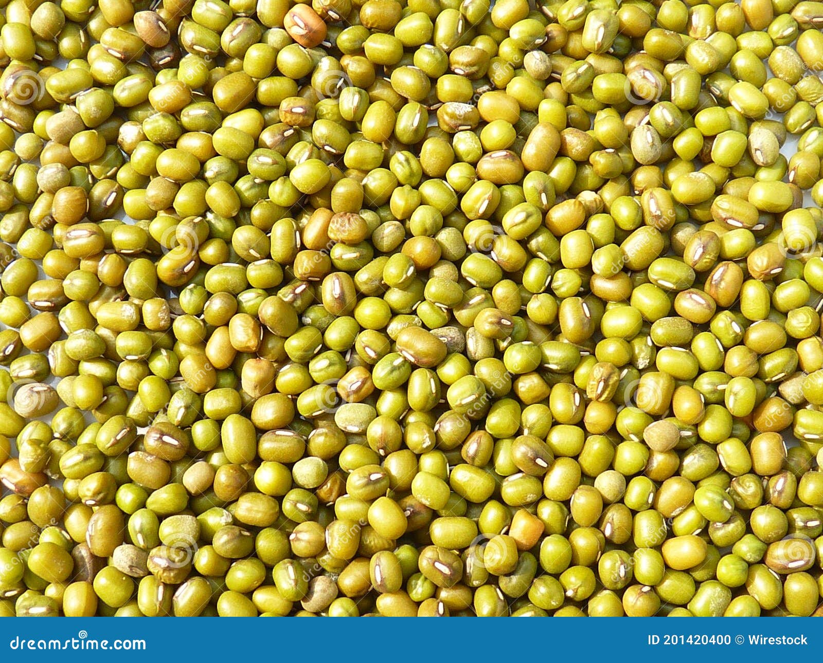 Closeup of a Pile of Mung Beans or Green Gram Stock Photo - Image of ...