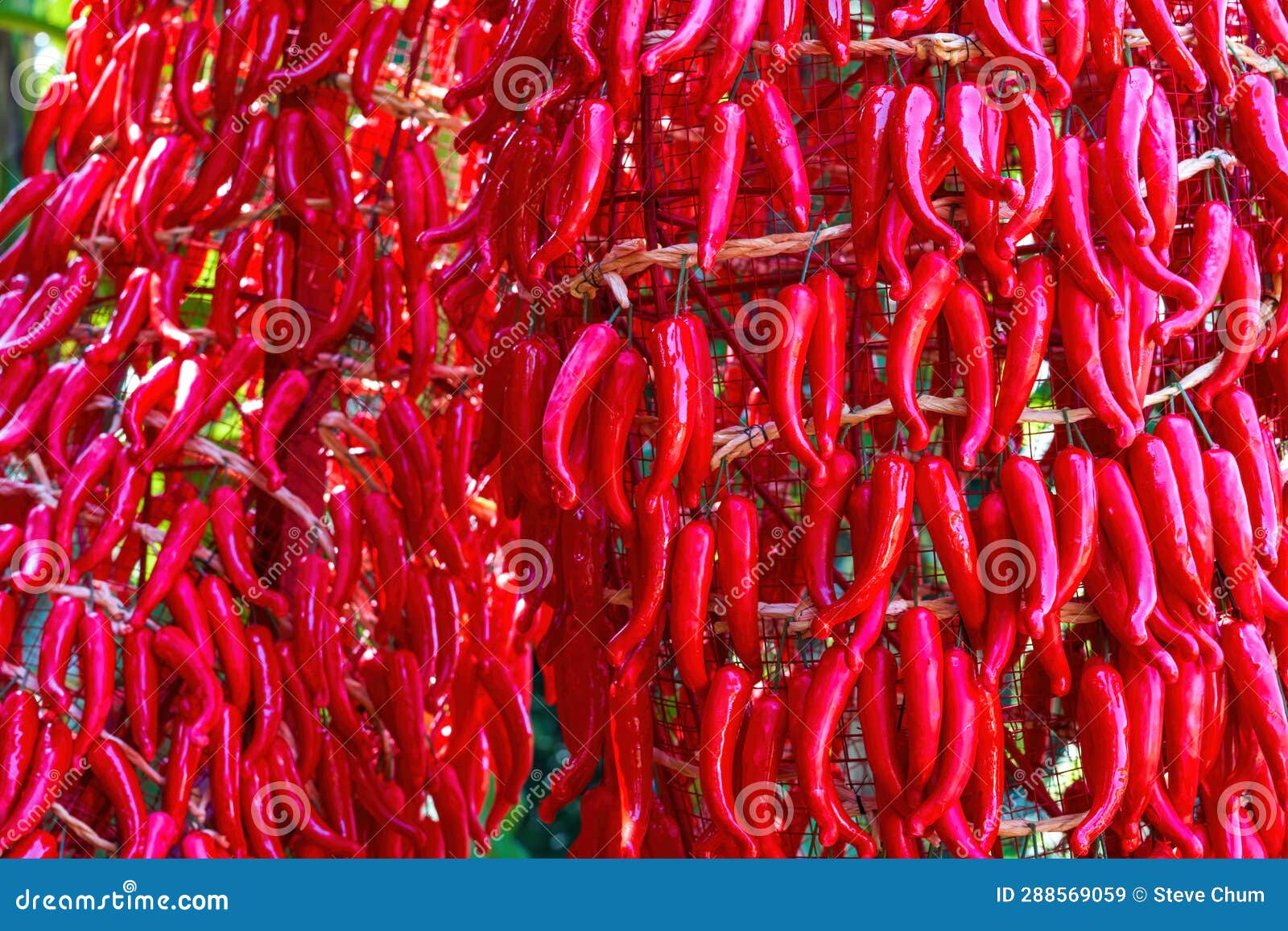 Closeup of a Pile of Red Peppers Drying in the Countryside Stock Image ...