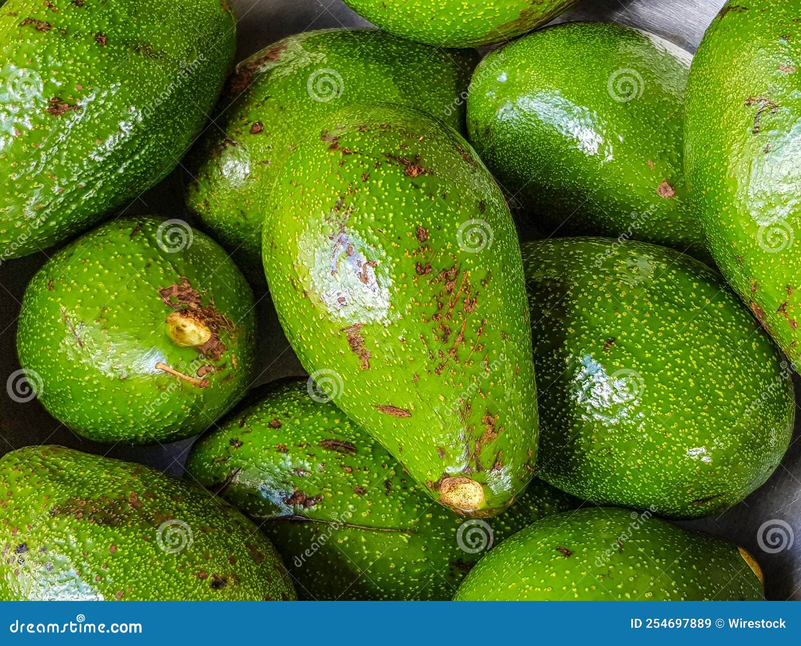 Closeup of a Pile of Shiny Avocados Stock Image - Image of ripe ...