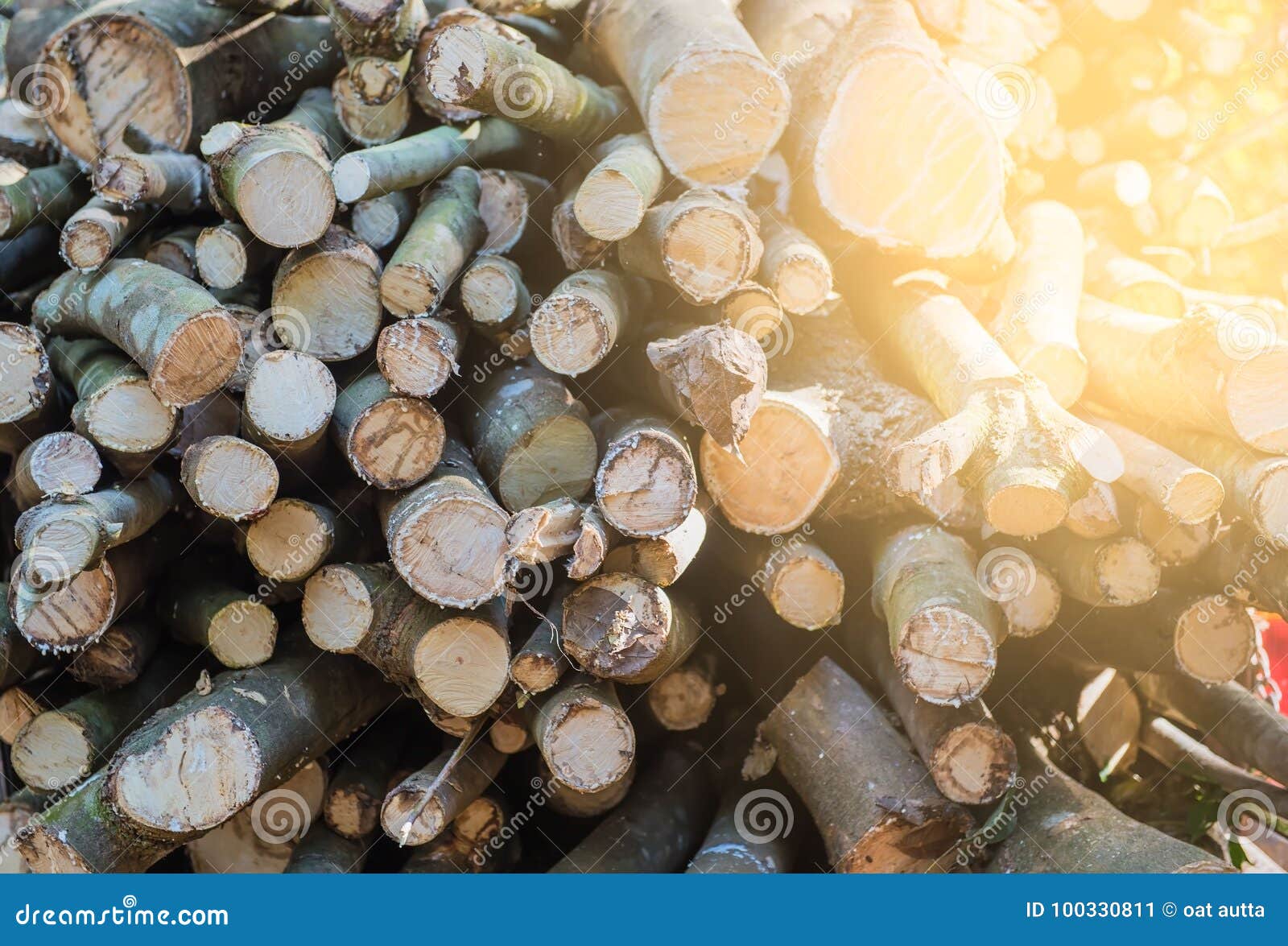Closeup Pile Timber Logs for Background Stock Image - Image of brown ...