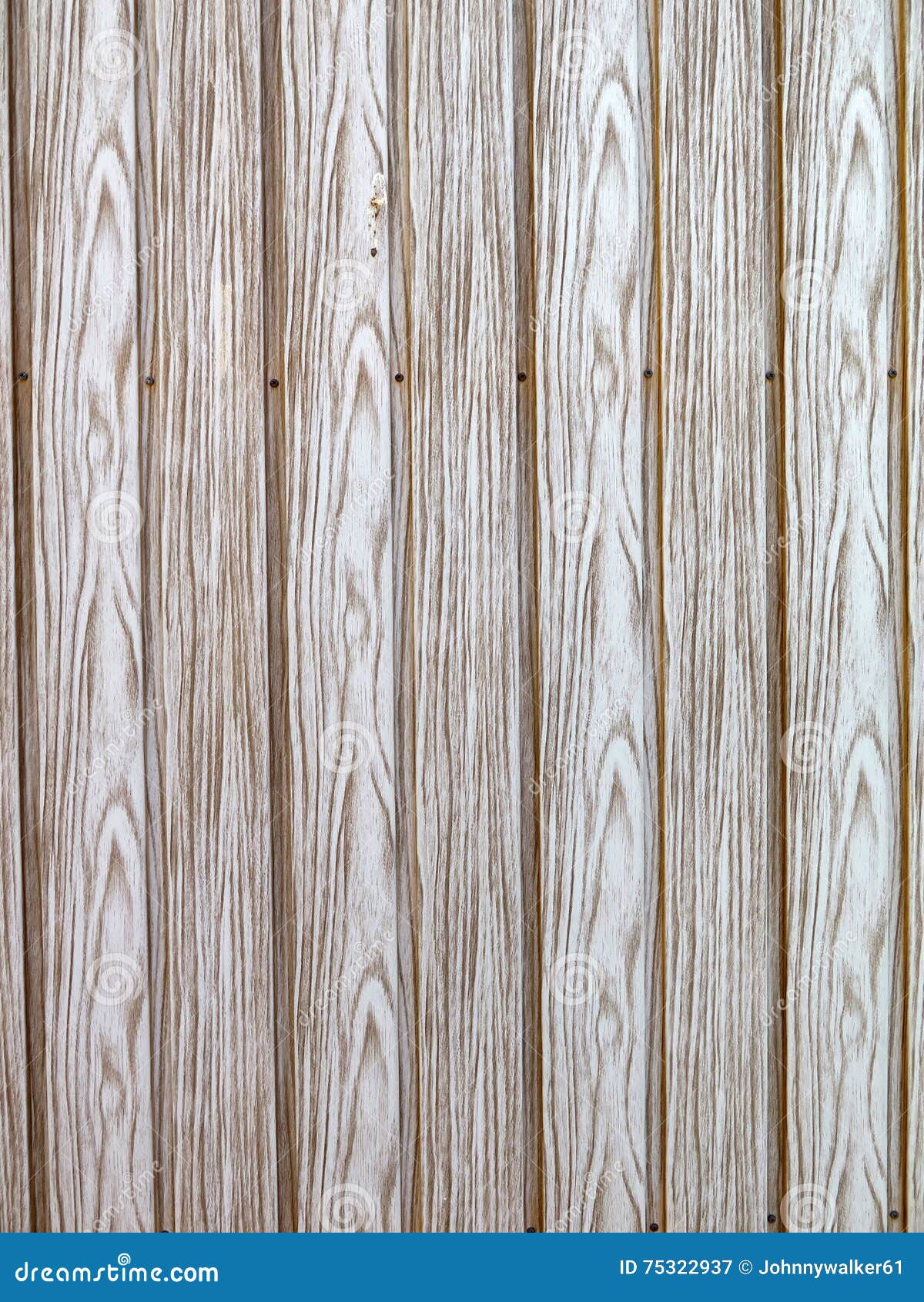 Closeup of pine cladding stock image. Image of closeup - 75322937