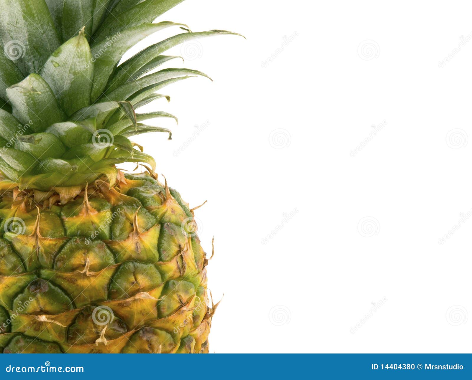 Closeup pineapple stock photo. Image of exotic, food - 14404380