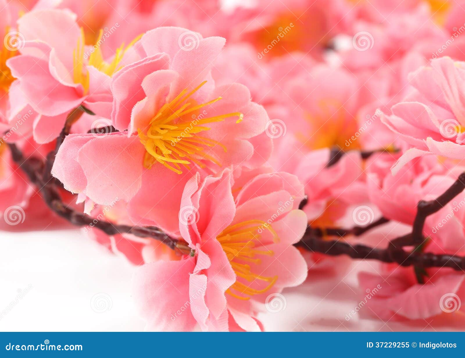 Closeup of Pink Artificial Flowers Stock Image - Image of place ...
