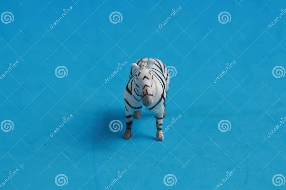 Closeup of a Plastic Toy Zebra on a Blue Background Stock Image - Image ...