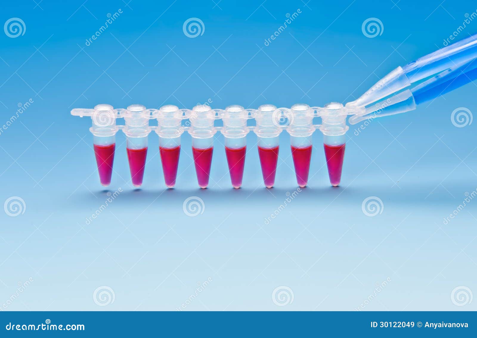 Samples for DNA Amplification Stock Image - Image of sample, medical ...