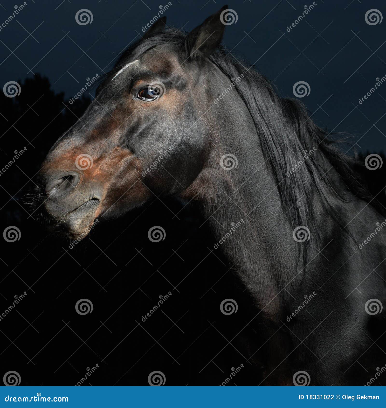Closeup Portrait Of A Playful Four Year Old Caucasian Girl Squinting ...