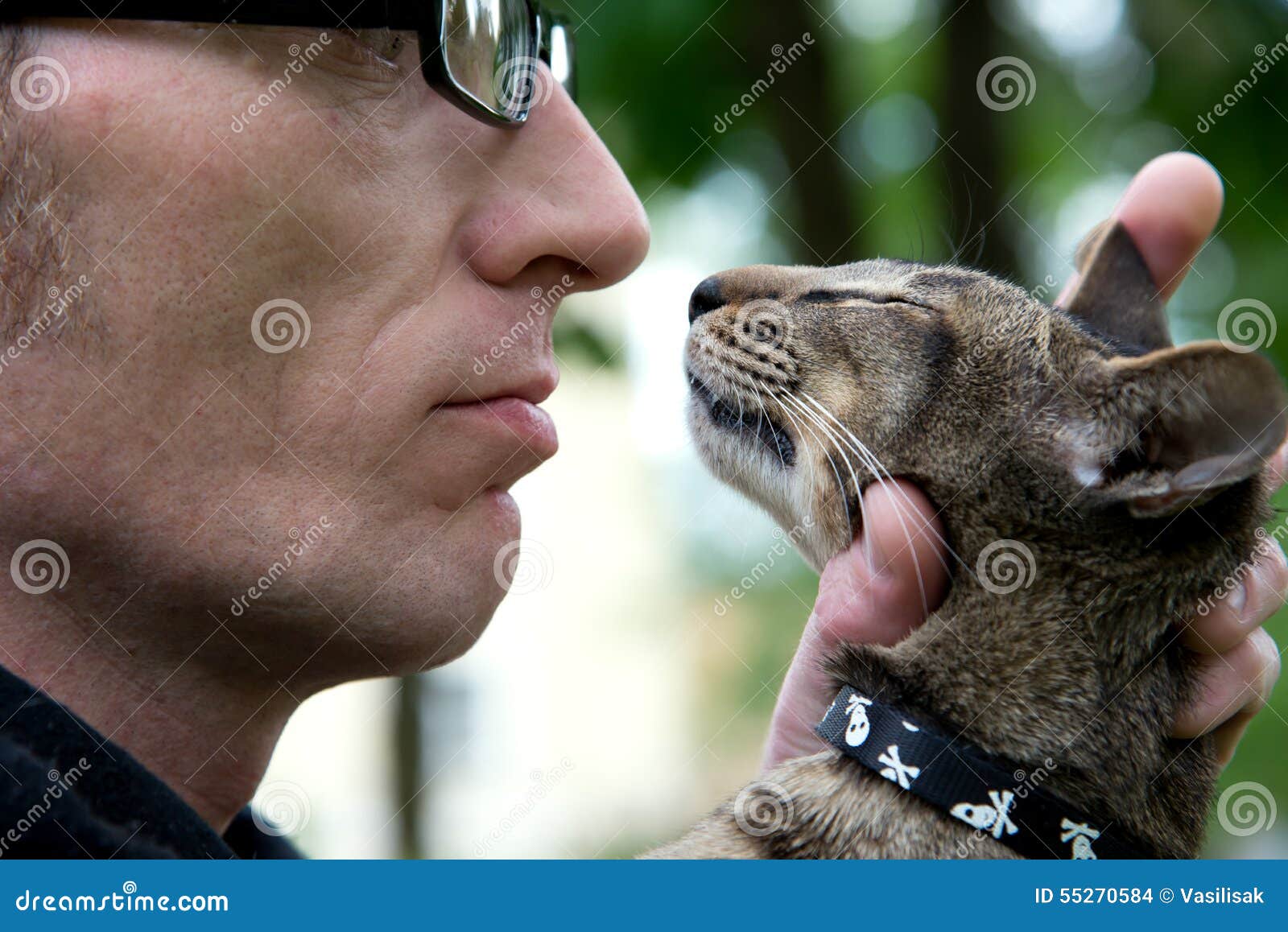 Closeup Portrait Man with His Cat Stock Photo - Image of collar, safety ...