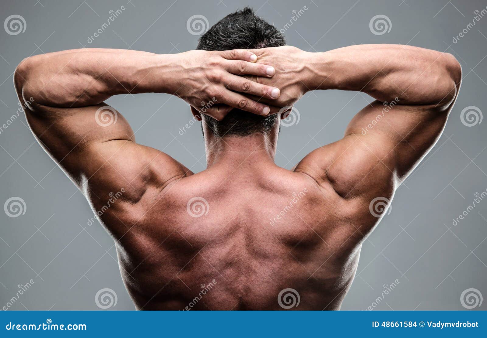 Closeup Portrait of a Muscular Mans Back Stock Photo - Image of fitness ...