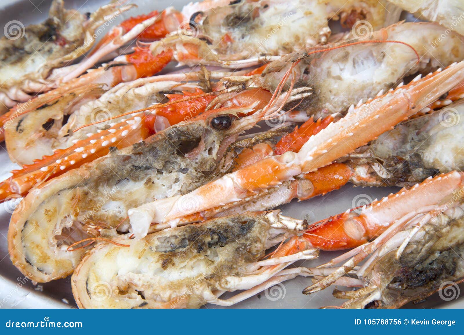 Closeup of Prawn Head stock photo. Image of prawn, costa - 105788756