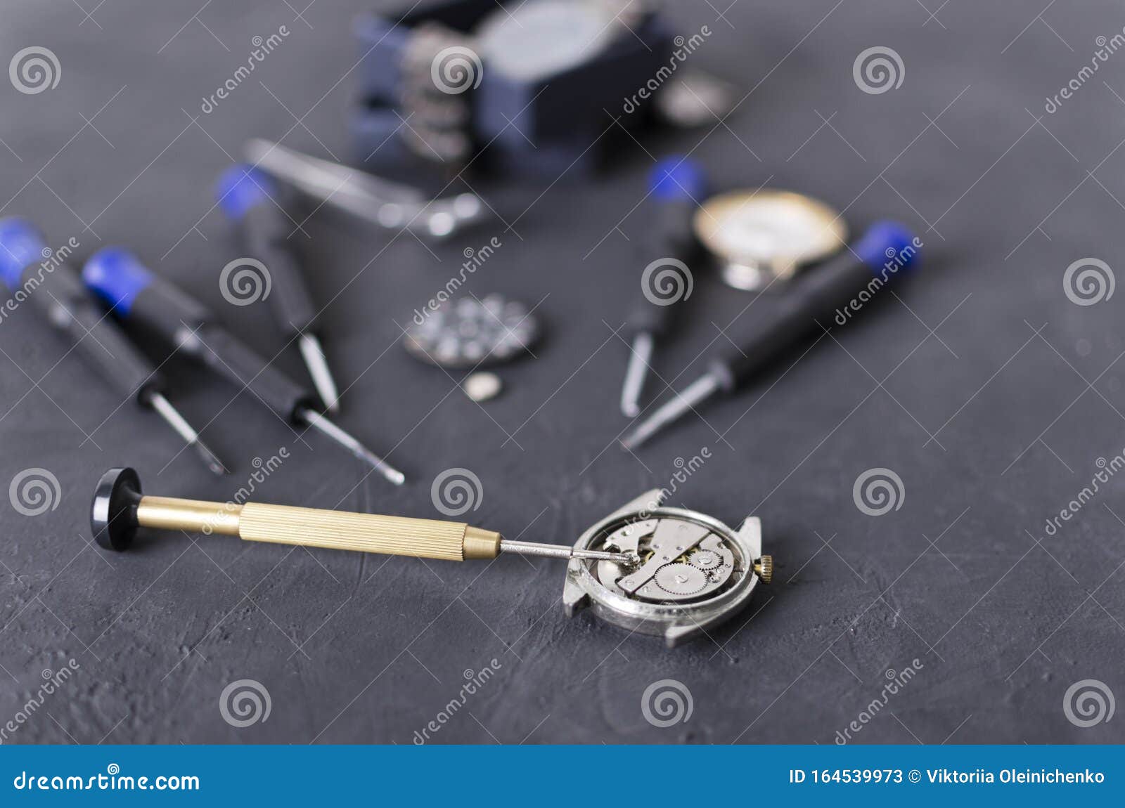 Closeup of Process of Watch Repairing, Kit of Different Screwdrivers ...