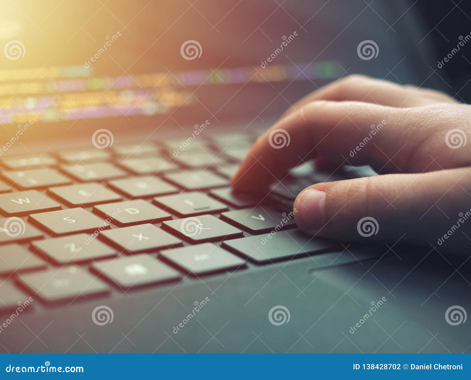 Closeup Programmer Coding On Screen Hands Coding Html And Programming On Laptop Screen Web