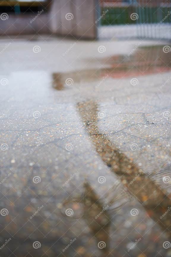 Closeup of a Puddle on the Playground Stock Photo - Image of college ...