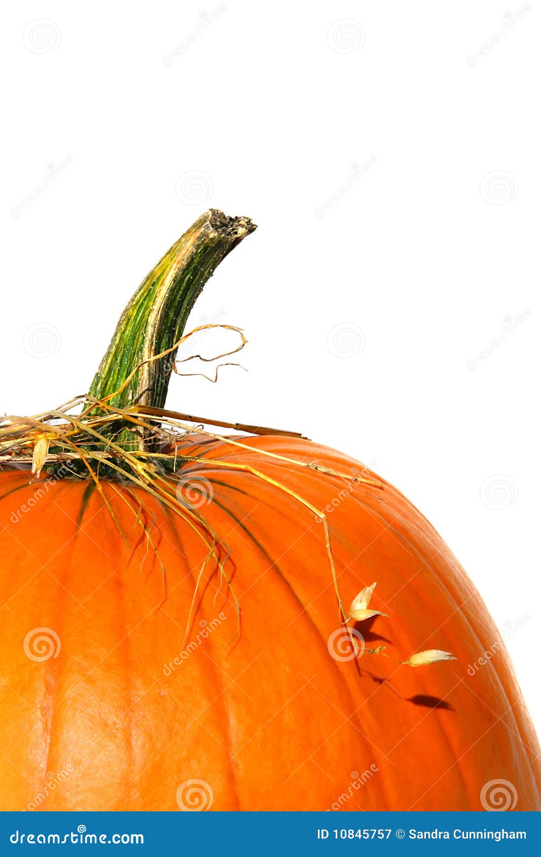 Closeup of Pumpkin with Bits of Straw Stock Image - Image of diet, farm ...