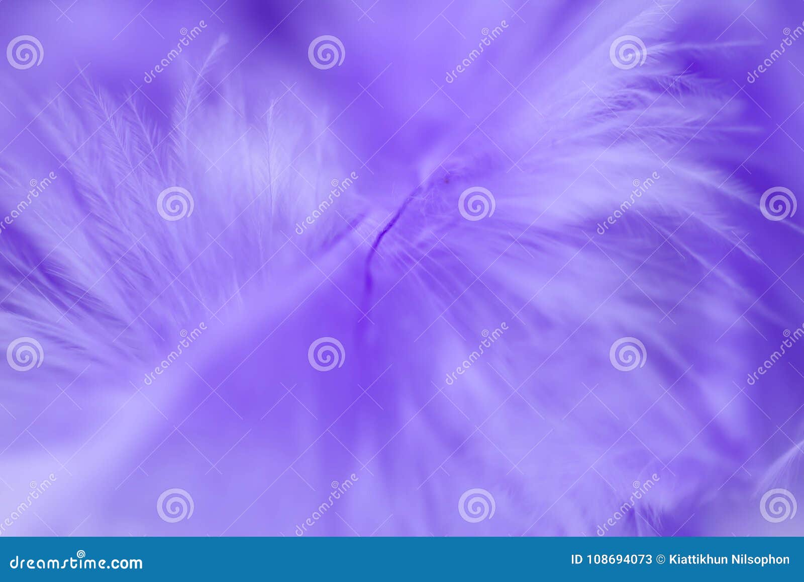 Closeup Purple Feather ,Multicolored Feathers ,background Texture ...