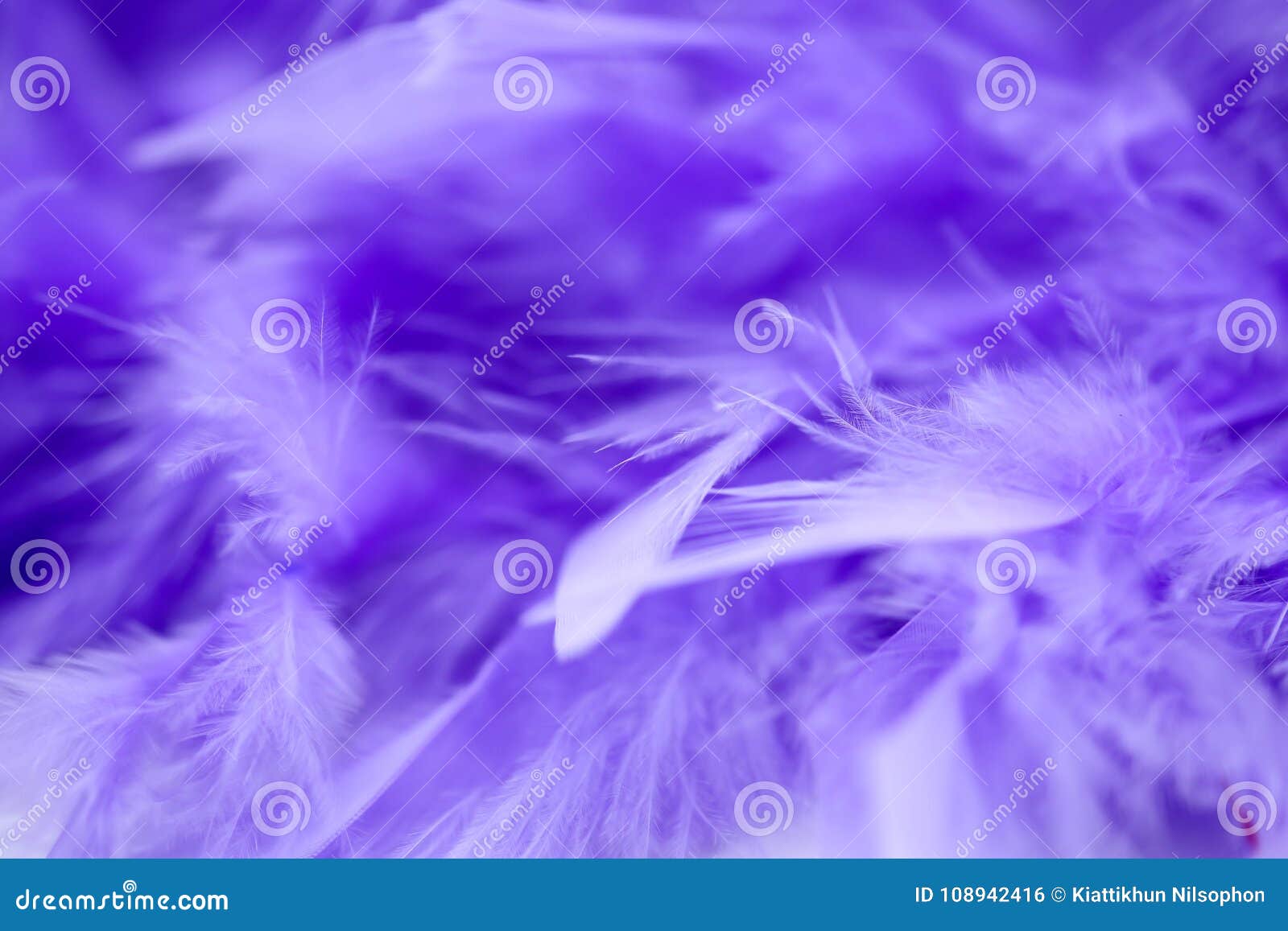 Closeup Purple Feather ,Multicolored Feathers ,background Texture ...
