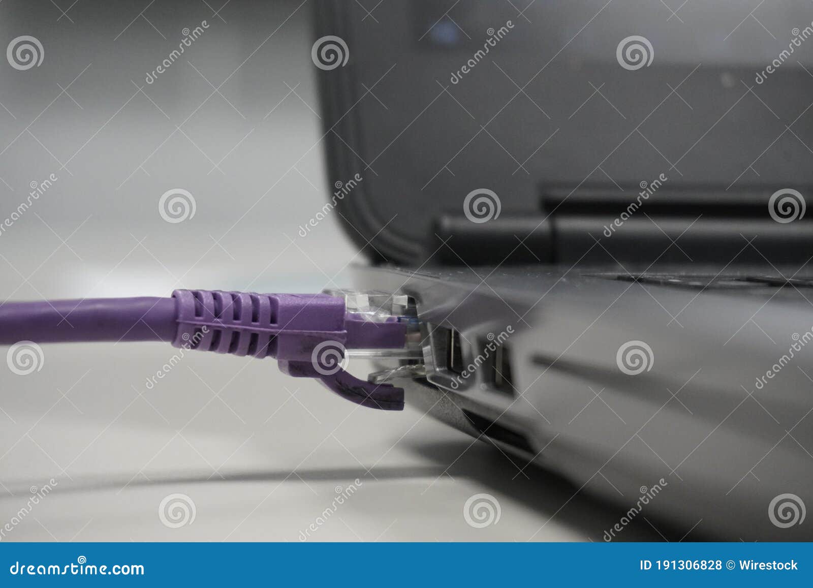 Closeup of a Purple Network Connection Cable To a LAN Port of Laptop ...