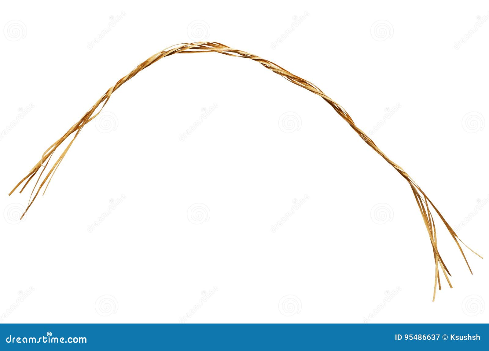 Closeup of raffia rope stock image. Image of rope, curl - 95486637