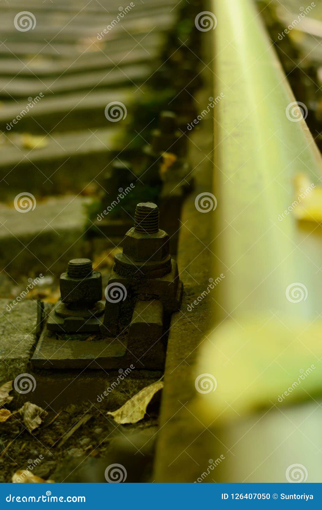 Closeup of Rail Tracks with Fallen Autumn Leafs. Rails in Autumn Stock ...
