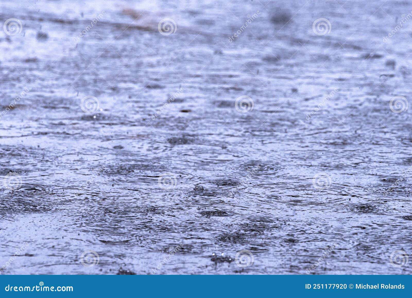Rain Falling Background stock photo. Image of rain, droplets - 251177920