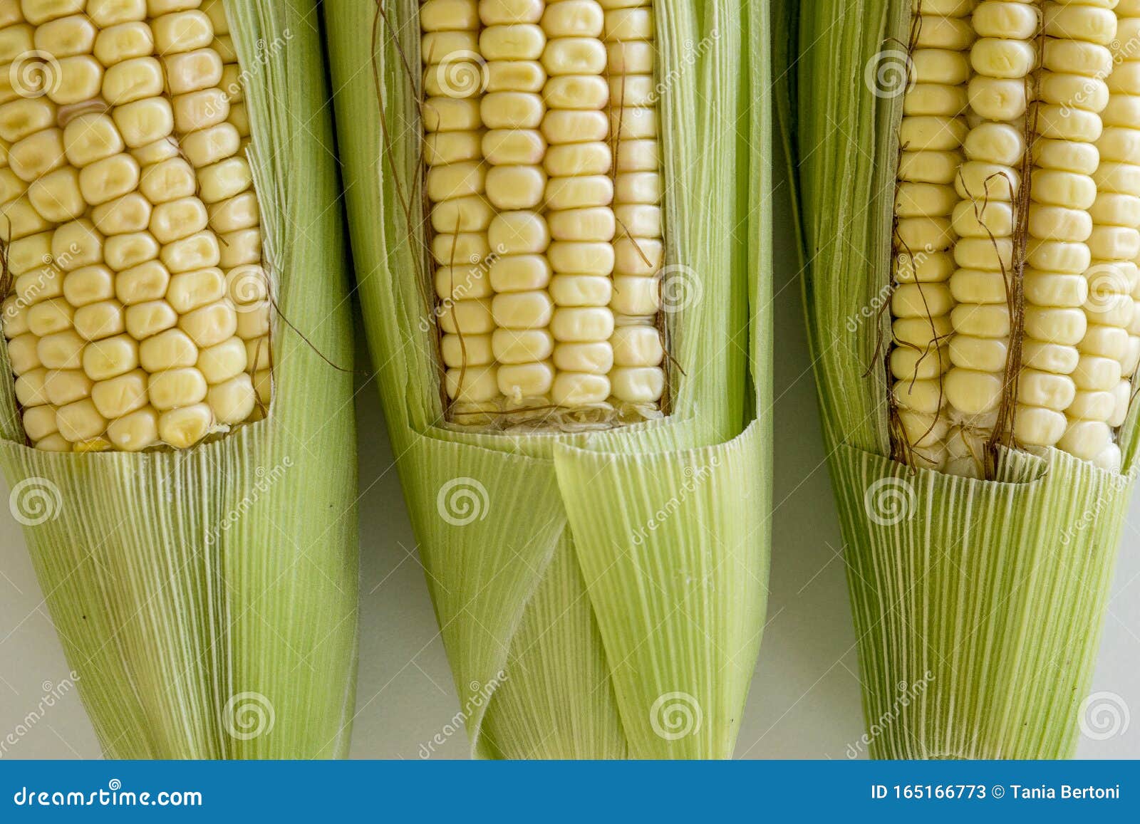 Closeup of Raw Corn Cobs with Straw on White Background Stock Image ...