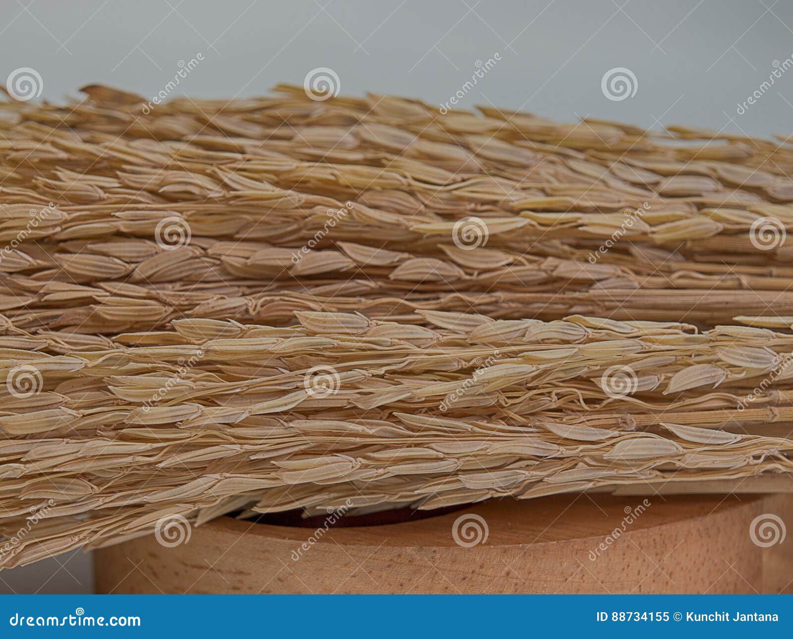 Closeup Raw Organic Paddy Rice on Wooden Table. Stock Image - Image of ...