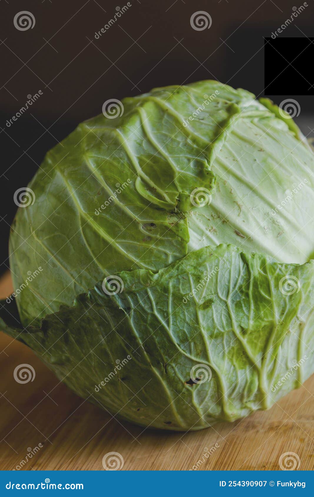 Closeup Raw White Cabbage on Wooden Board Stock Image - Image of nature ...