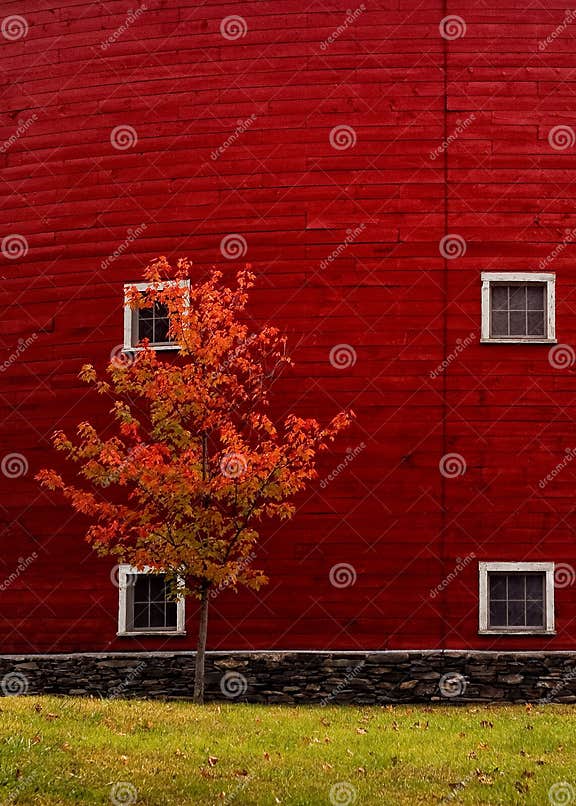 Closeup of Red Barn with Fall Tree Stock Image - Image of natural, card ...