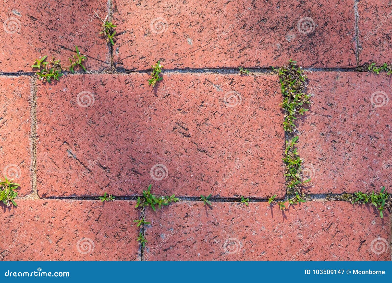 Red brick road stock image. Image of brick, pattern - 103509147