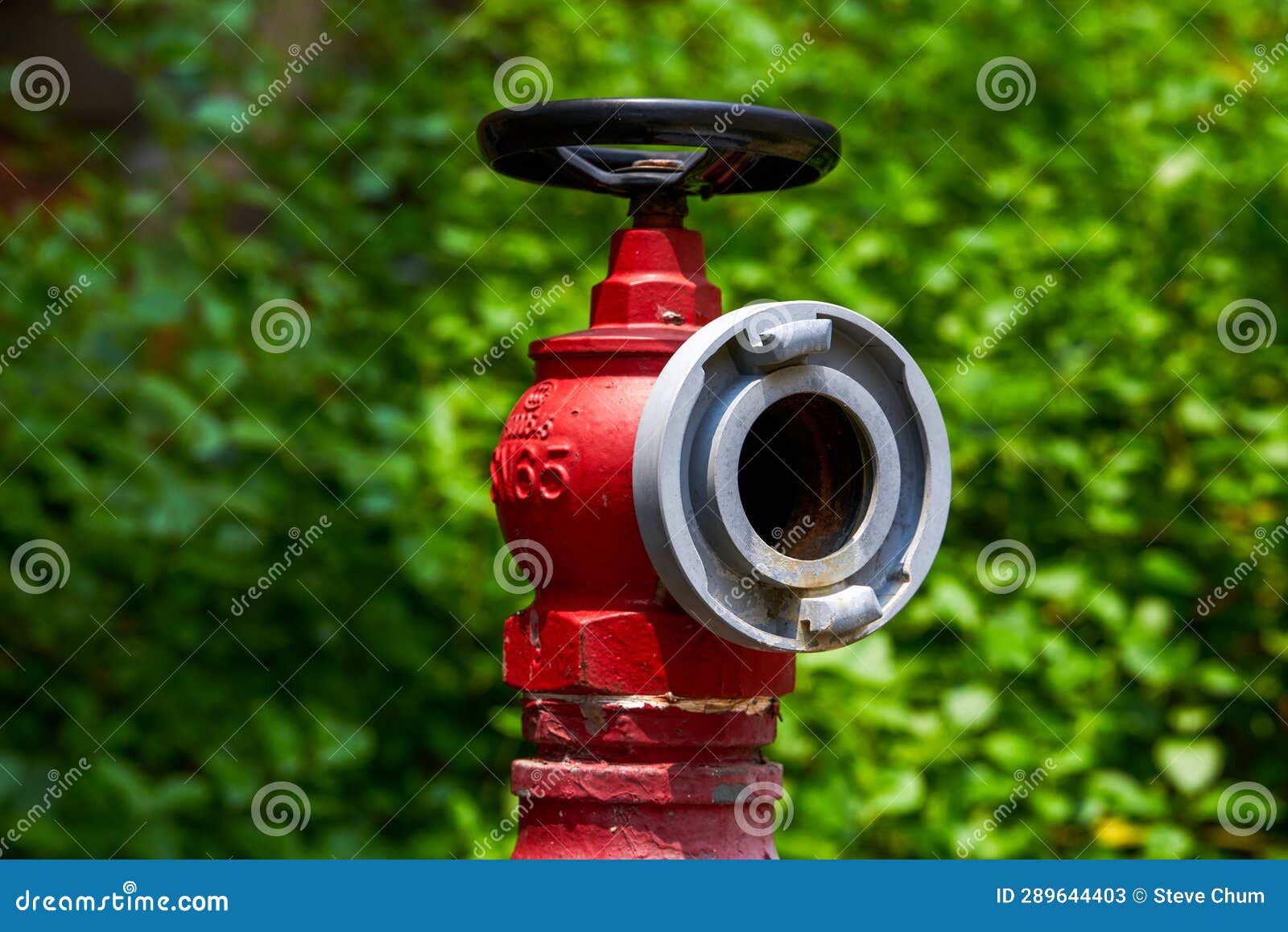 Closeup of Red Fire Hydrant with Green Plants Background Outdoors Stock ...