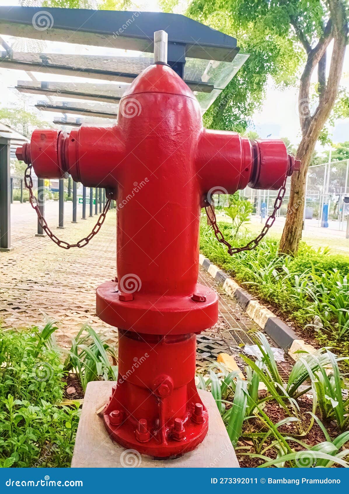 Closeup of Red Fire Hydrants after Repainting and Maintenance Stock Image - Image of garden ...