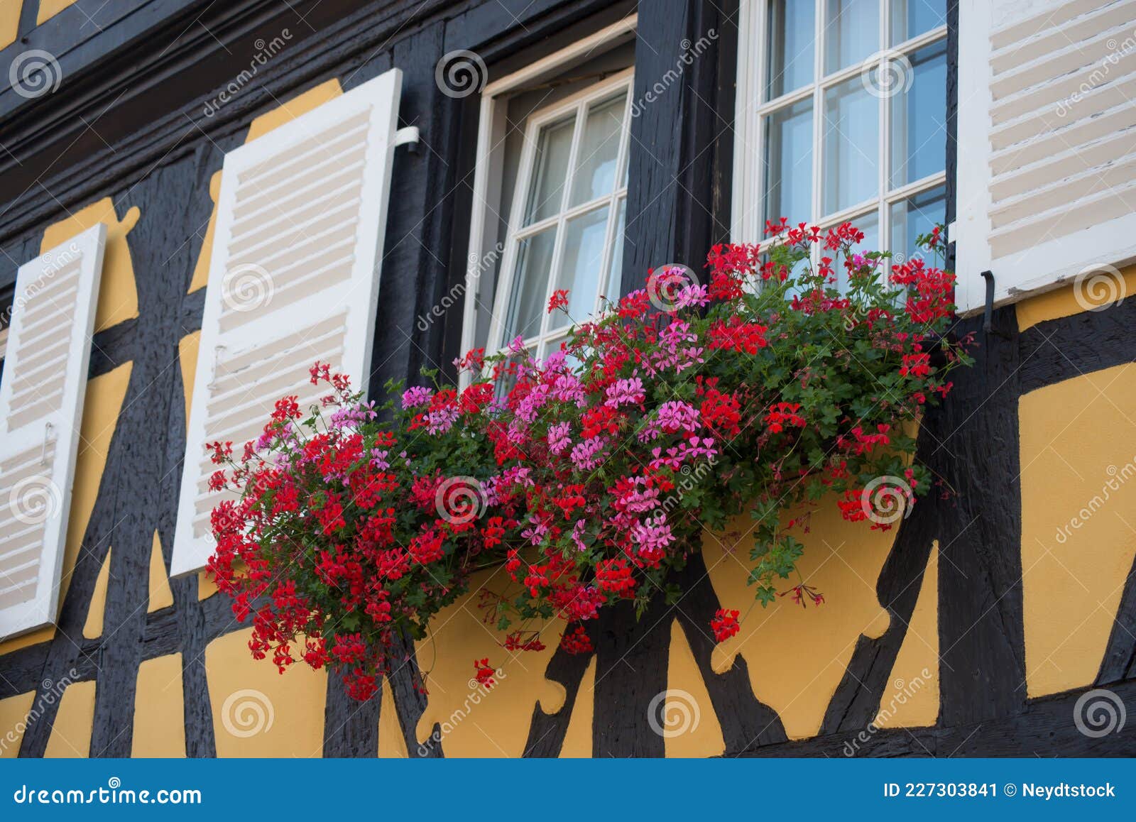 Red Geraniums on Medieval Building Facade in the Street Stock Image ...
