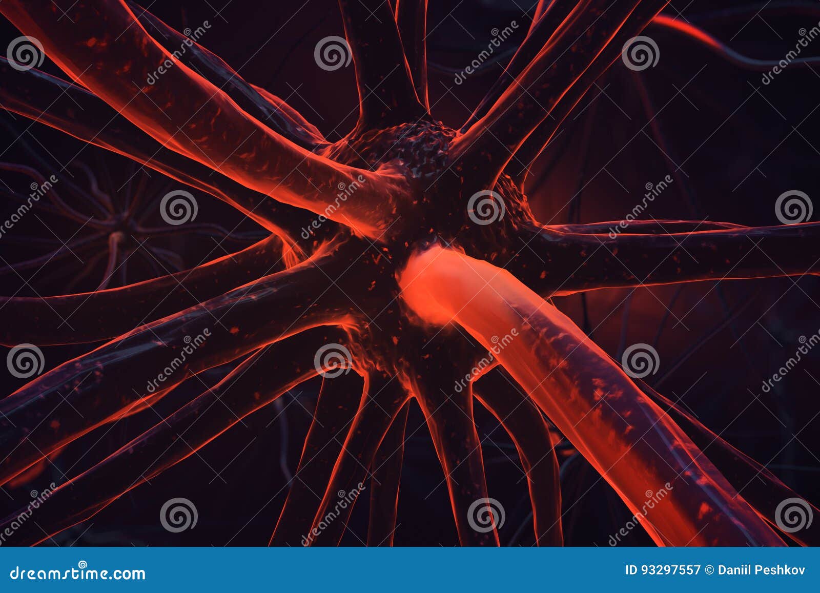 Closeup of red neuron stock illustration. Illustration of health - 93297557