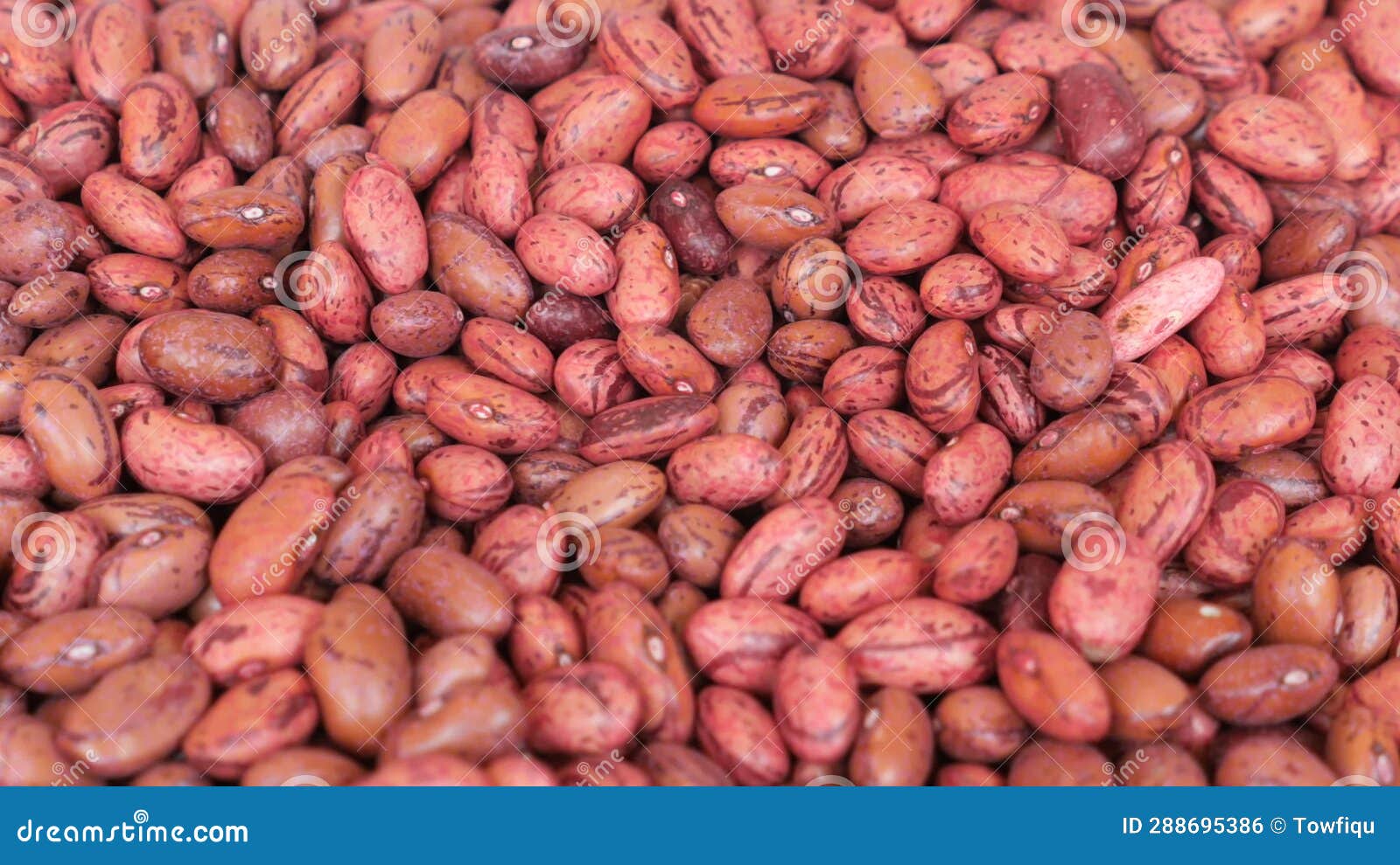 Closeup of Red Soy Beans Texture Background. Stock Footage - Video of ...