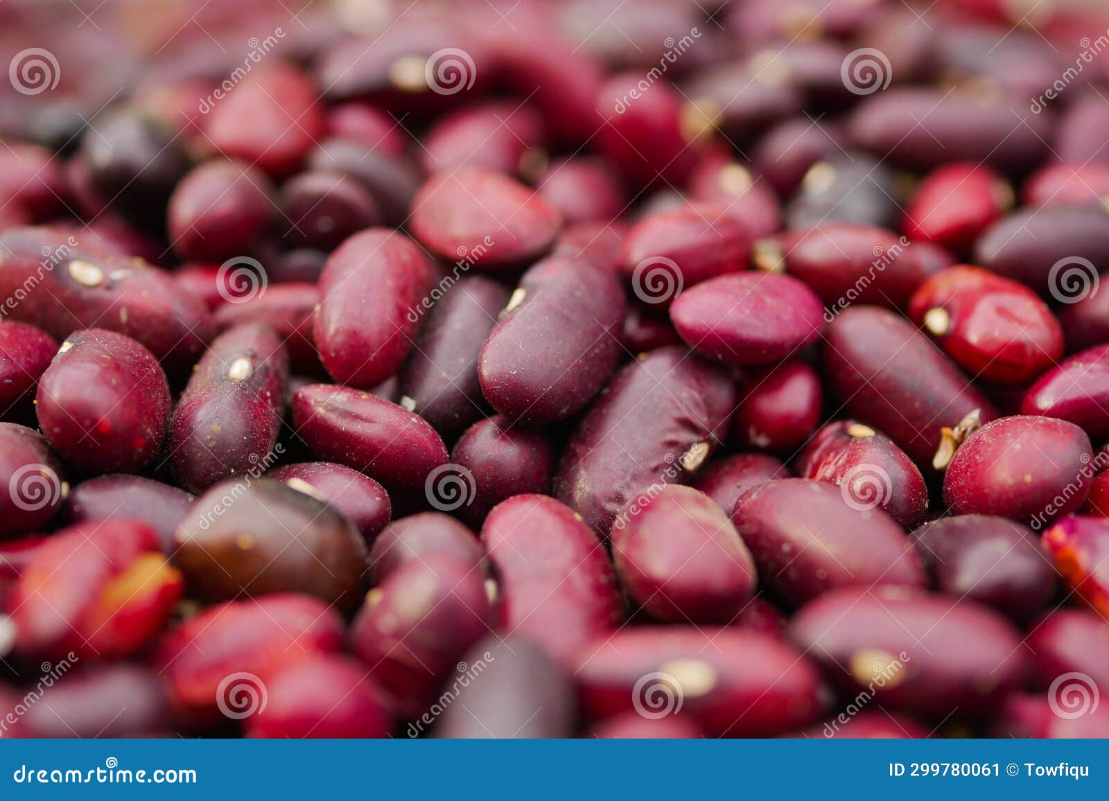 Closeup of Red Soy Beans Texture Background. Stock Image - Image of ...