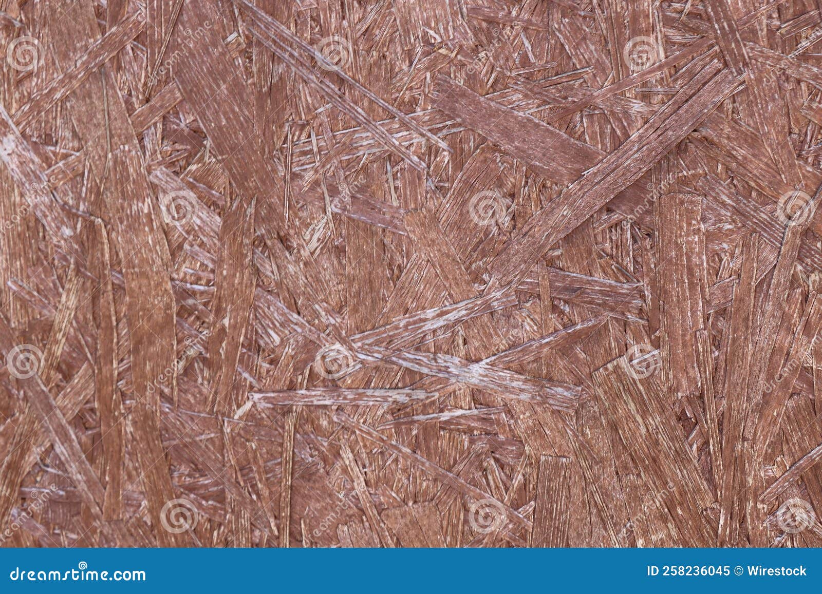 Closeup of Remains of Wood Texture Stock Image - Image of macro ...
