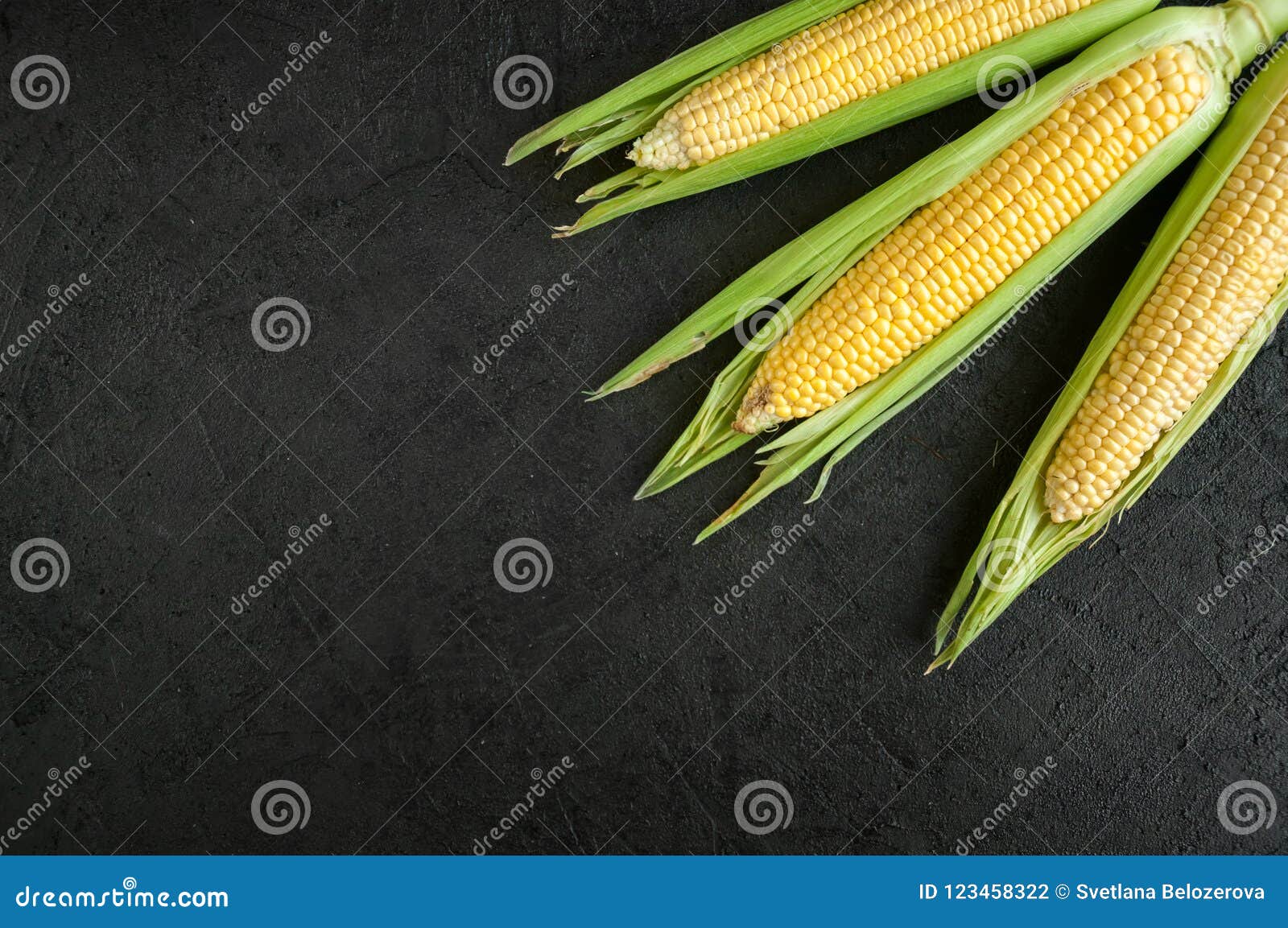 Closeup Ripe Fresh Corn on Dark Background Stock Photo - Image of ...