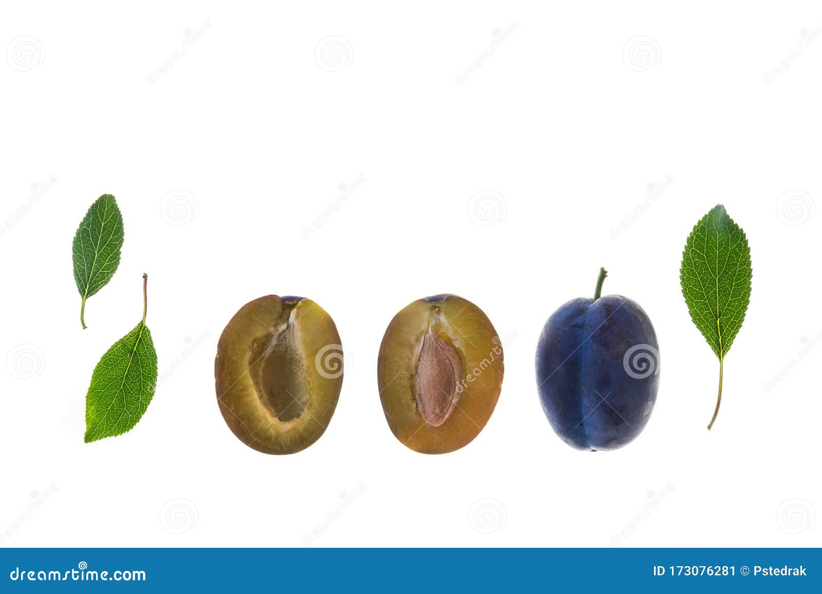 Ripe Prune Plums and Leaves Isolated on White Background Stock Image ...