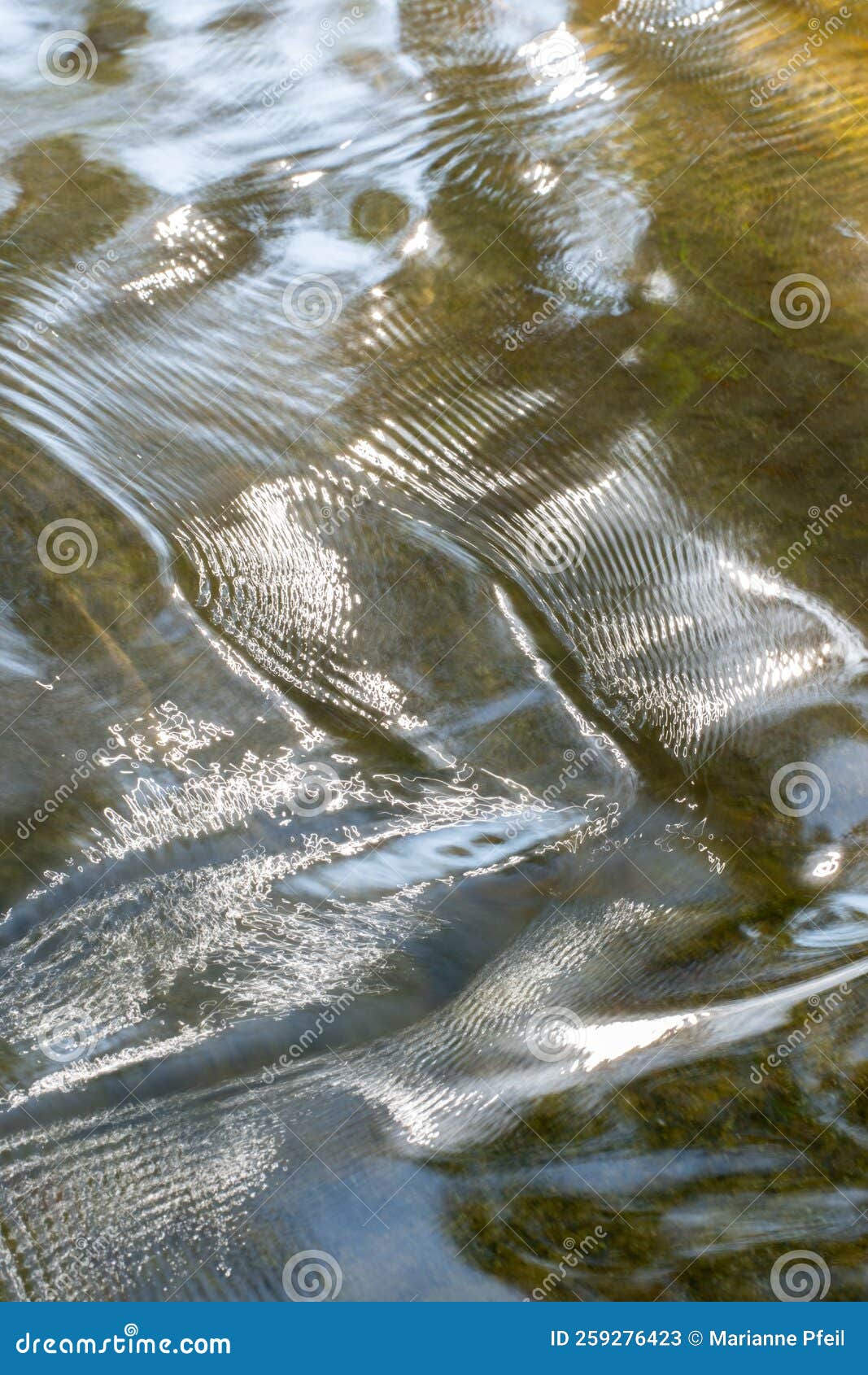Closeup of Ripples on the Pond in the Garden Stock Image - Image of ...