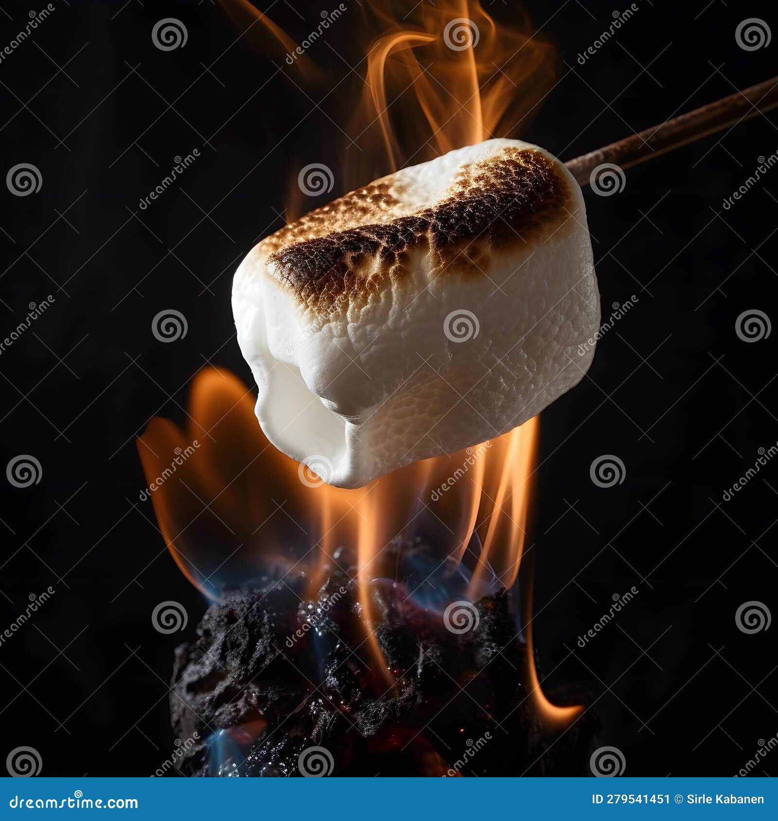 Closeup of Roasting a Single Marshmallow on Fire with Black Background ...