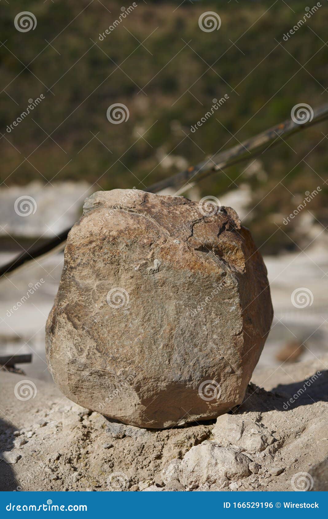 Closeup of a Rock on the Ground Surrounded by Greenery with a Blurry ...