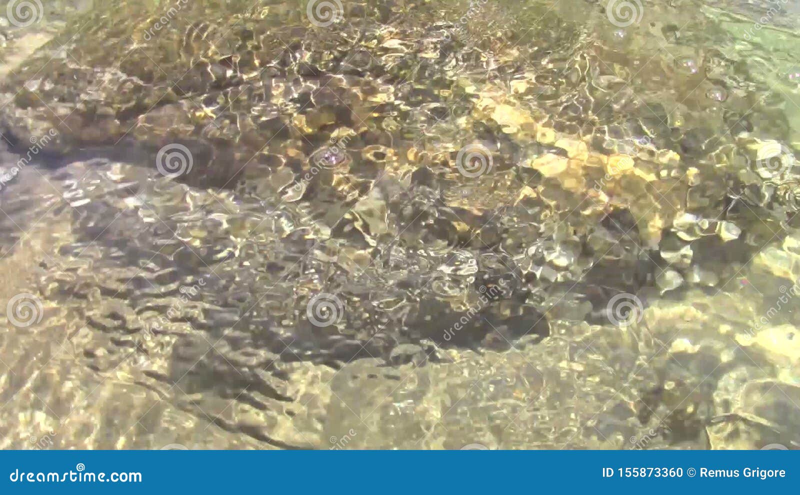 Rock and Shells Under the Sea Stock Footage - Video of waves, shore ...
