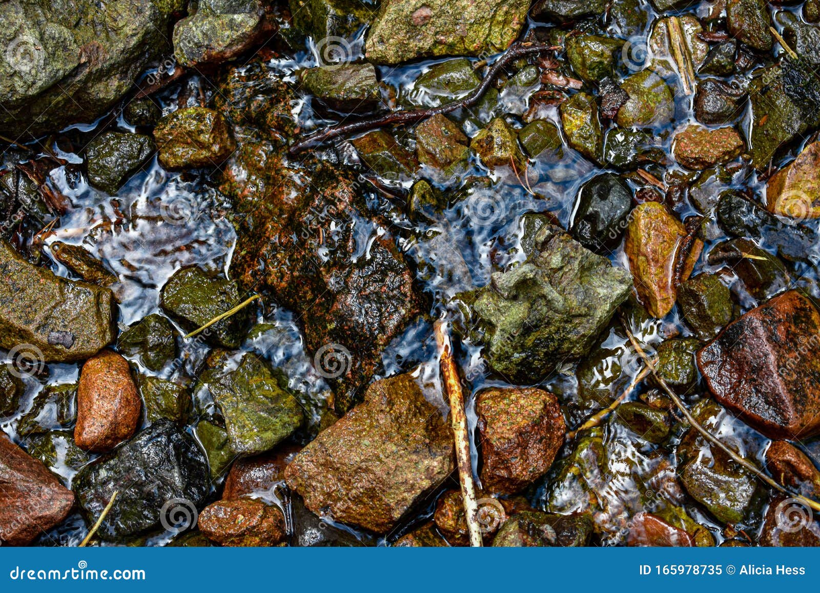 Closeup of Rocks in a Creek. Background and Textures Stock Image ...