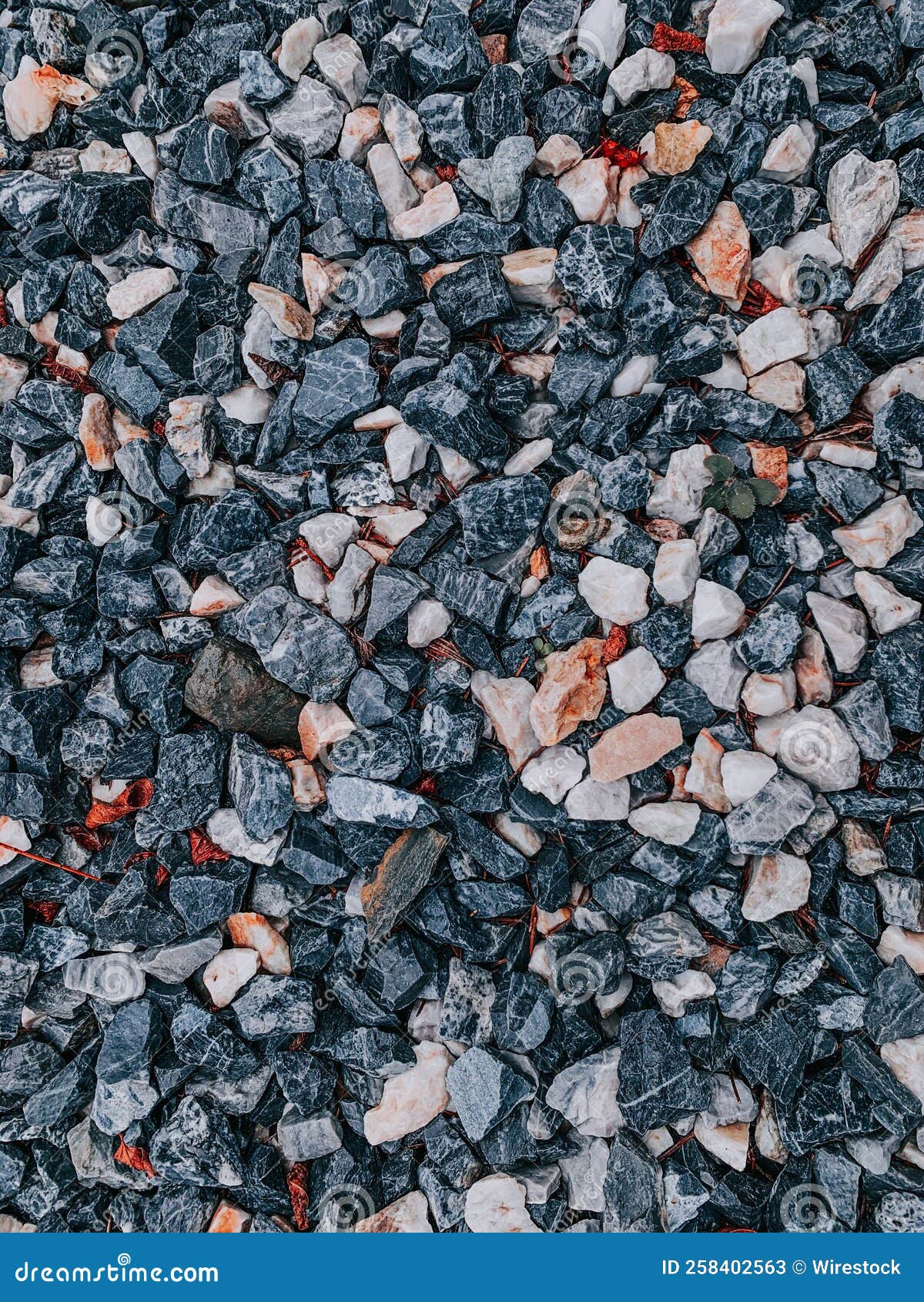 Closeup of rocks on ground stock image. Image of structure - 258402563