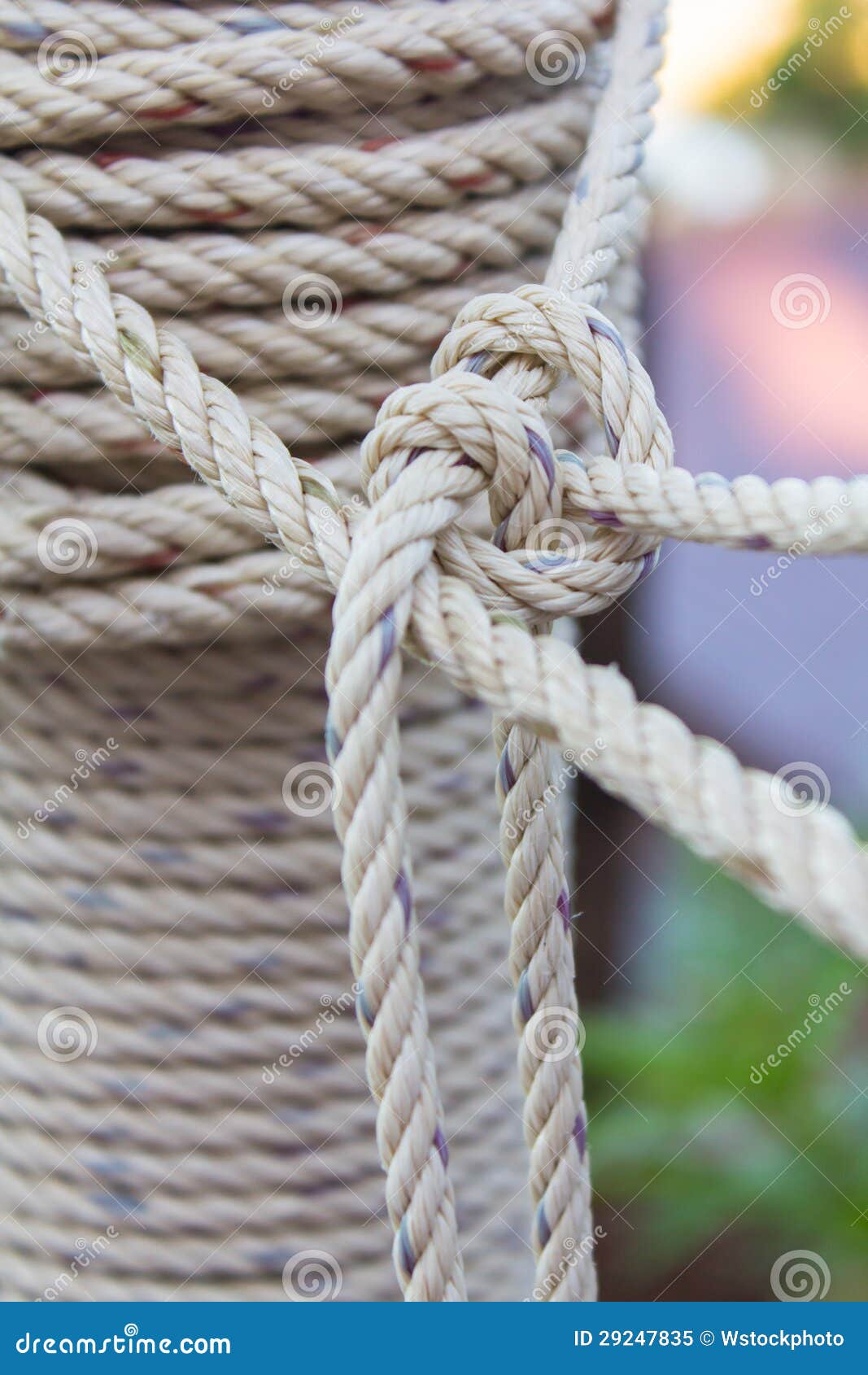Closeup roll of rope stock image. Image of clothes, construction - 29247835