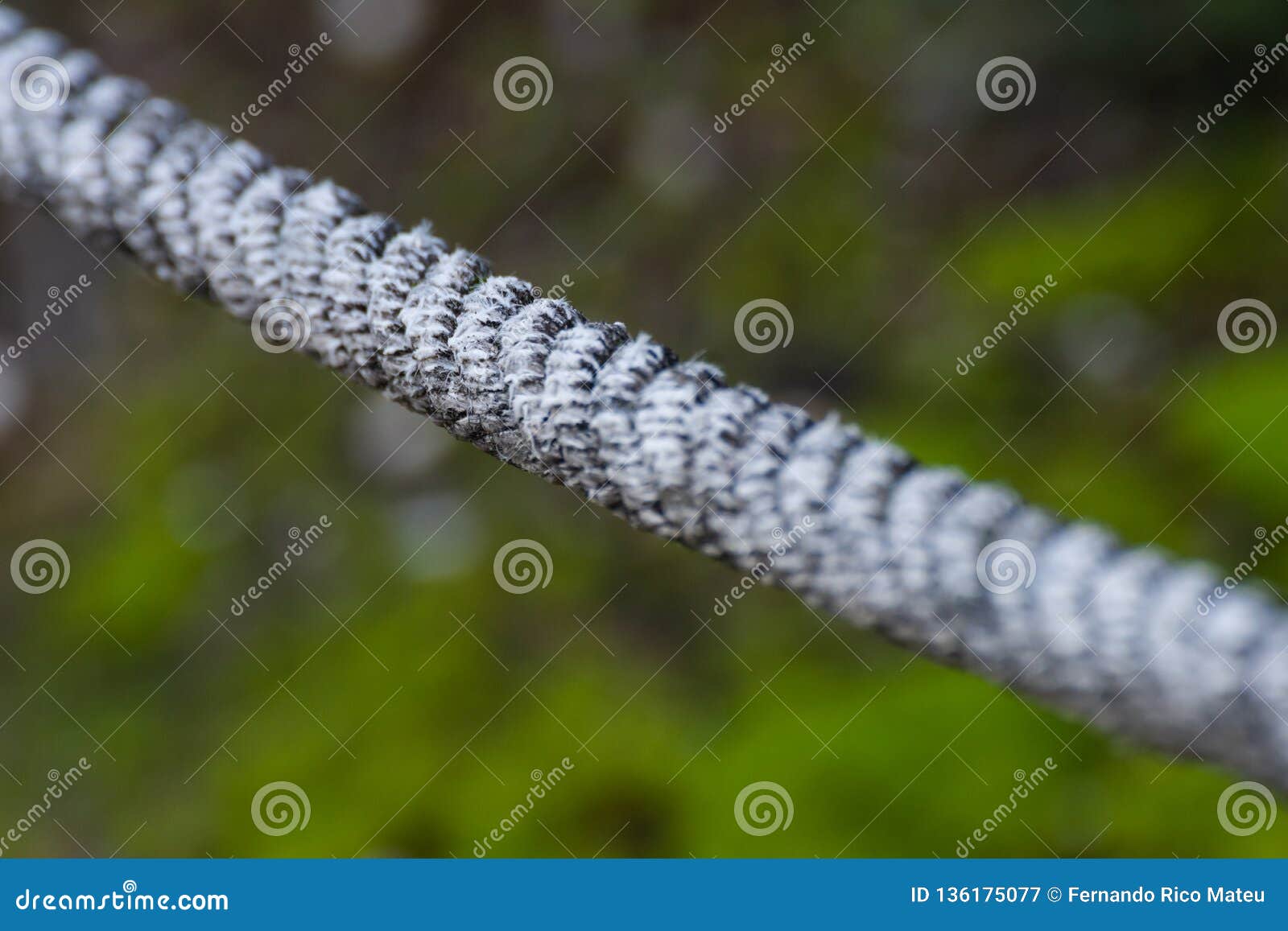 Closeup Rope on Defocused Green Moss Background Stock Image - Image of ...